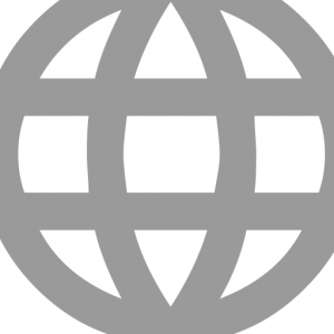 favicon – Integrated Computer Services N.V.